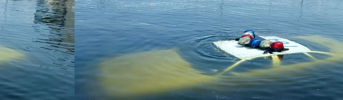 Wolf - CS2 Stats and Player Profile - Leetify